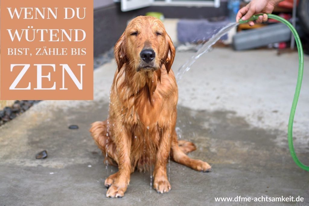 Wie du mit Humor Stress bewältigst | DFME